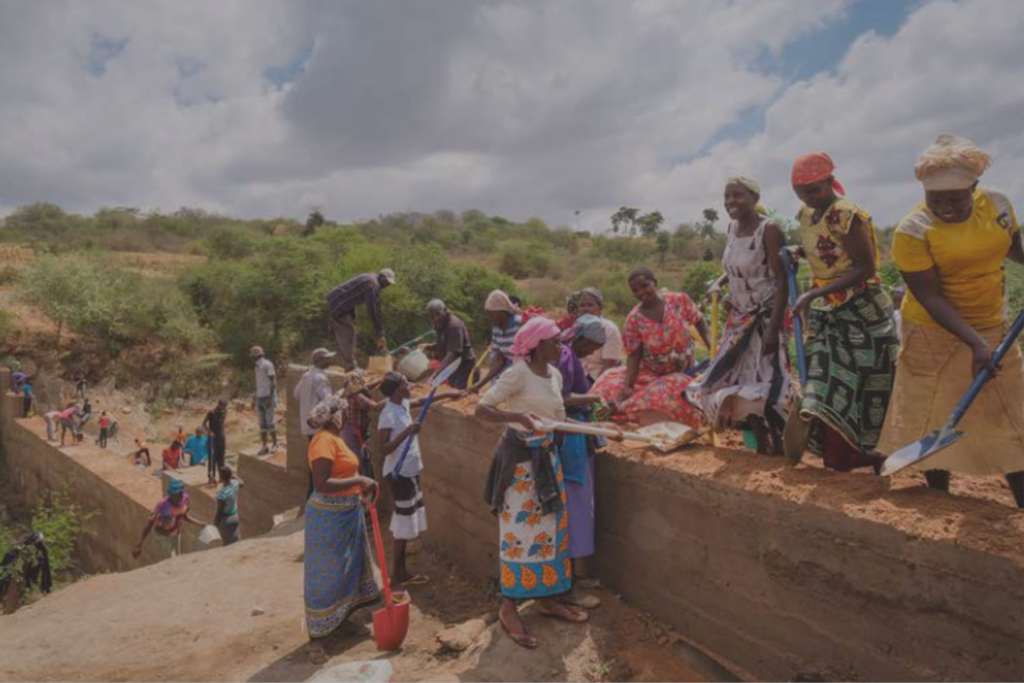 Beekeeping value chain assessment in Mozambique – Environomica Consulting